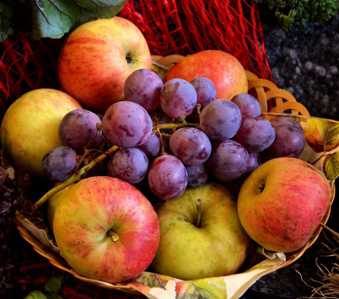 odac-info | Penser Bio, Nature et Environnement